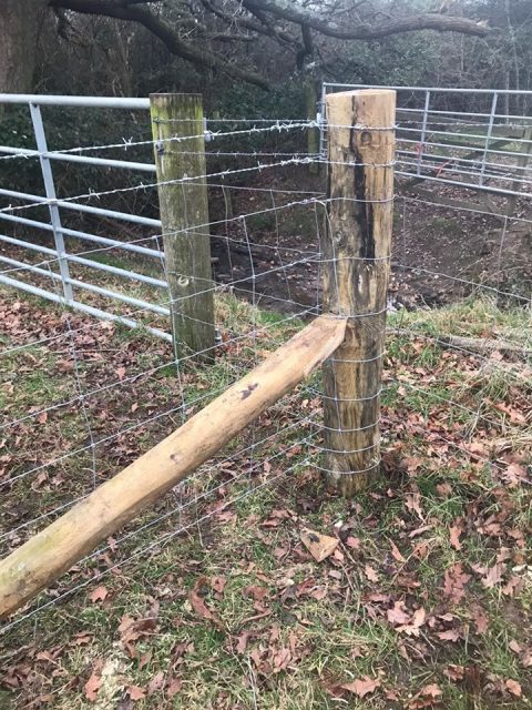 Woodland creation programme - RC Fencing